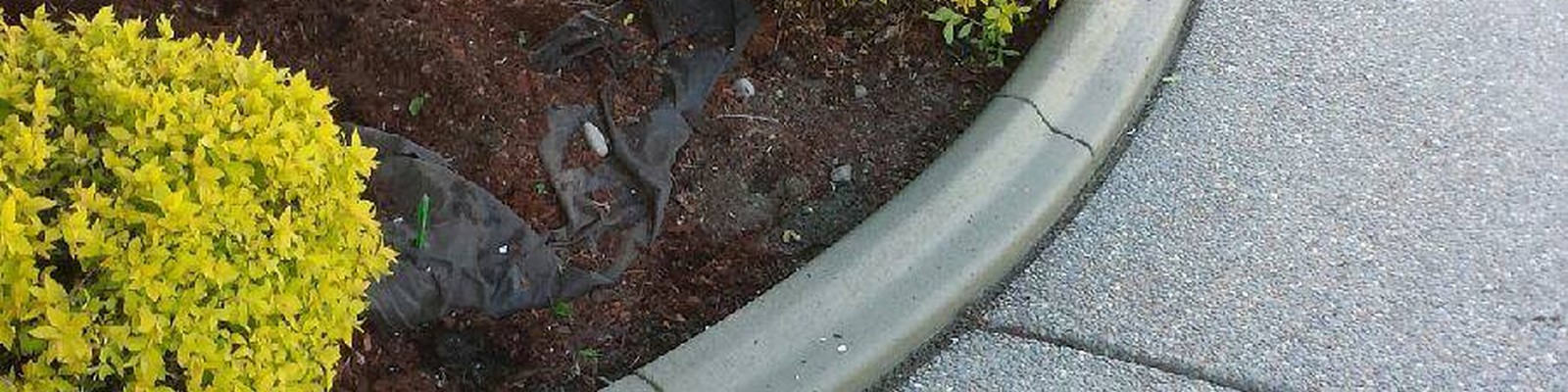 Mower's Edge Picture Frame Look Curbing Form for Curb Appeal